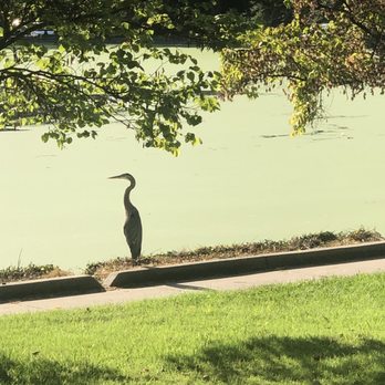 JANUARY-WABASH MEMORIAL PARK - Updated December 2025 - 501 N Florissant ...