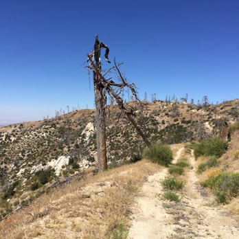 MT. PACIFICO CAMPGROUND - Updated January 2026 - 36 Photos - California ...