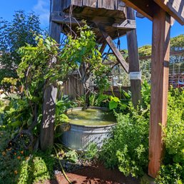 BRICKMAIDEN BREADS - Updated July 2024 - 66 Photos & 86 Reviews - 40 ...