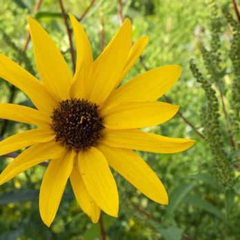 JESTER PARK NATURE CENTER - Updated December 2025 - 70 Photos - 12130 ...