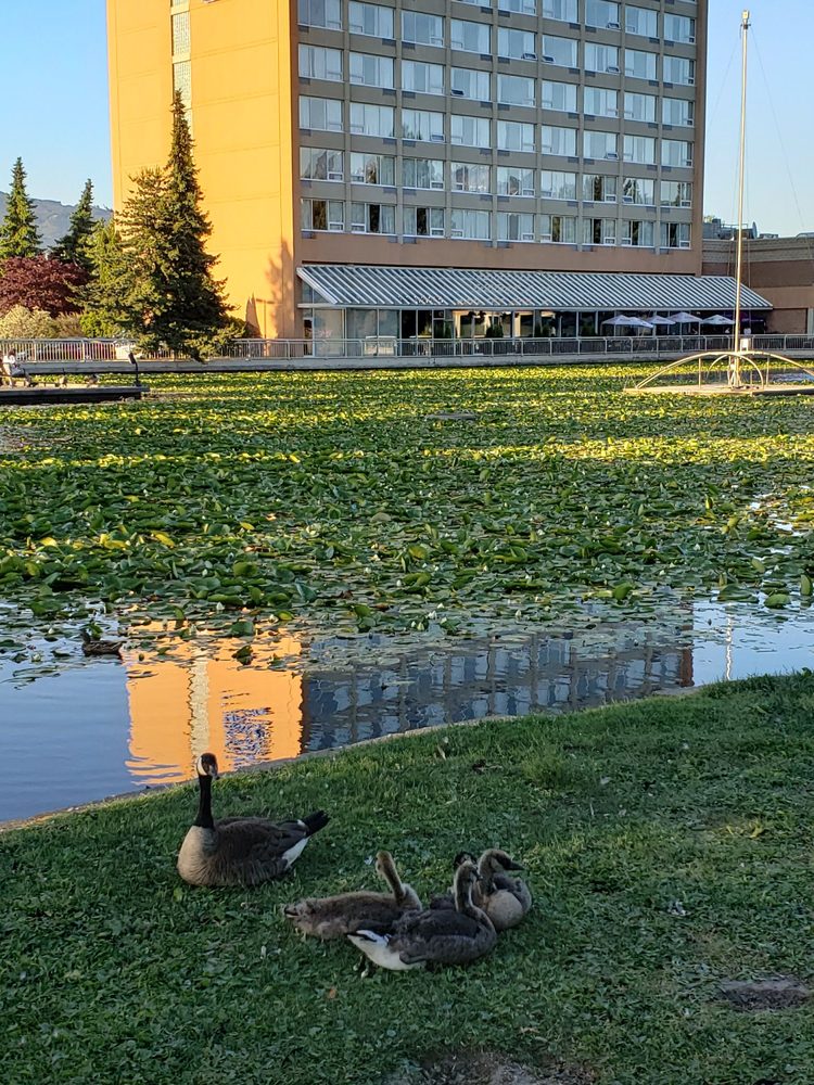 COAST CHILLIWACK HOTEL BY APA - Updated October 2024 - 26 Photos & 21 ...