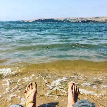 SHELL BEACH - Updated August 2025 - 35 Photos & 17 Reviews - Tomales ...