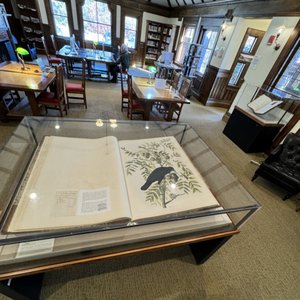 FERGUSON LIBRARY - Updated December 2025 - 18 Photos & 21 Reviews - 1 ...