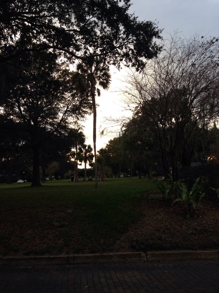 IVANHOE PARK - Updated September 2024 - 13 Photos - 510 Shady Ln Dr ...