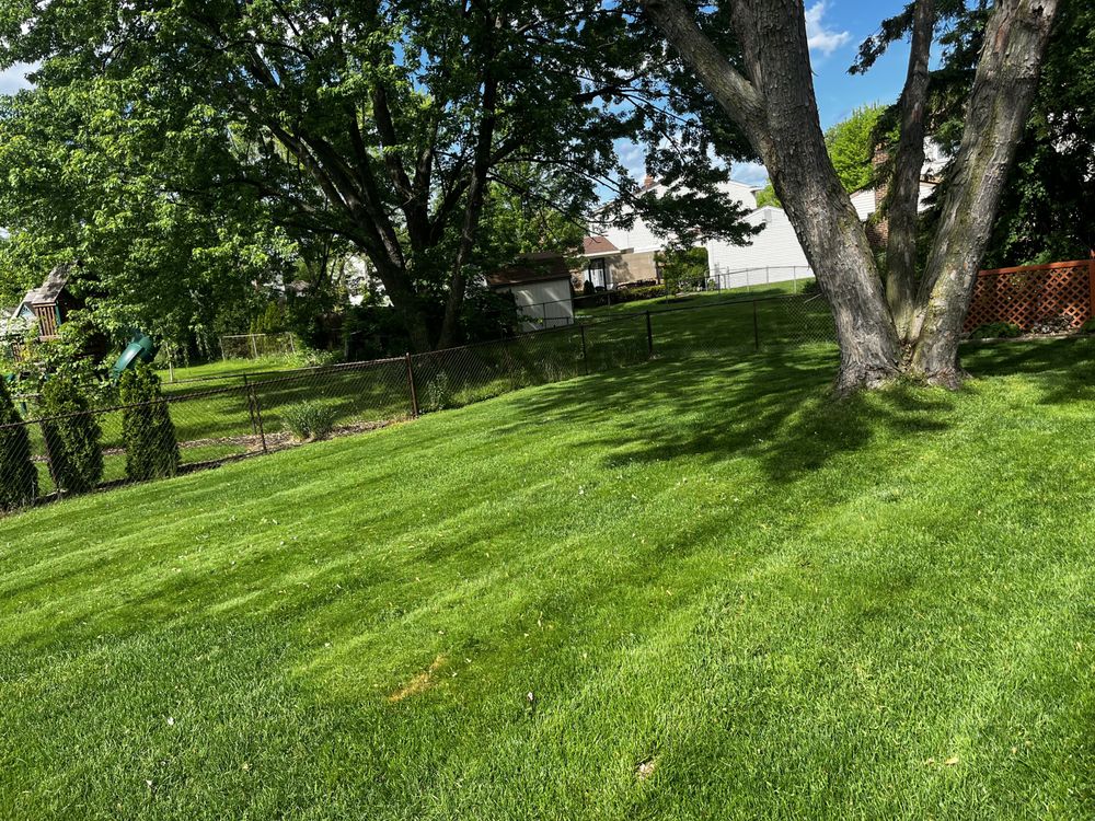 PRO CUTZ LAWN CARE - Updated December 2025 - Waterford Township ...