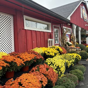 SOERGEL ORCHARDS & GARDEN CENTER - Updated September 2025 - 377 Photos ...