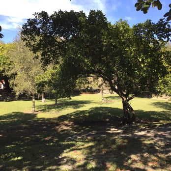 SCHENLEY PARK - Updated December 2025 - 15 Photos - 2750 SW 57th Ave ...