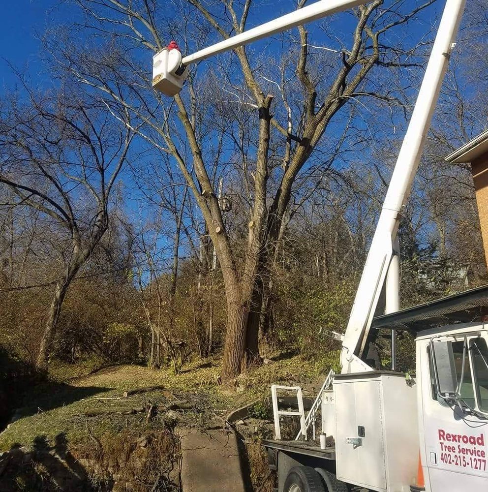 REXROAD TREE SERVICE - Updated August 2025 - 1704 Jefferson St ...