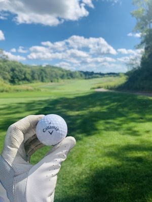 BRAEMAR GOLF COURSE - Updated April 2026 - 33 Photos & 29 Reviews ...