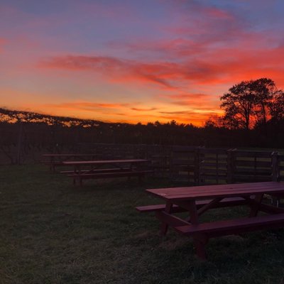 BELKIN FAMILY LOOKOUT FARM - Updated November 2024 - 210 Photos & 300 ...