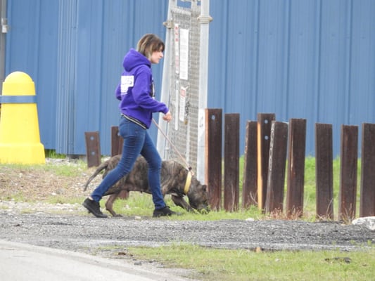 VILLALOBOS RESCUE CENTER - Updated September 2025 - 82 Photos & 80 ...