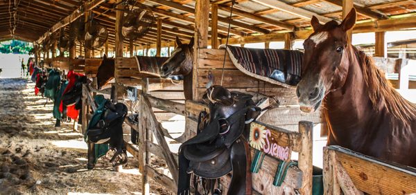 CIRCLE F DUDE RANCH CAMP - Updated December 2025 - 11 Photos & 21 ...