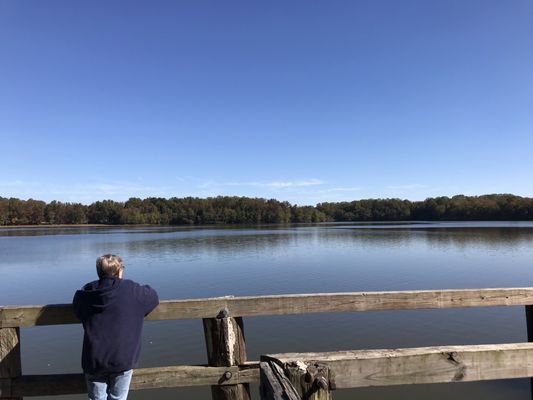 LUMS POND STATE PARK - 84 Photos & 44 Reviews - 1068 Howell School Rd ...