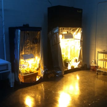 TAPROOT HYDROPONICS - Updated July 2024 - 21 Photos & 12 Reviews - 317 Sage St, Temple, Georgia ...