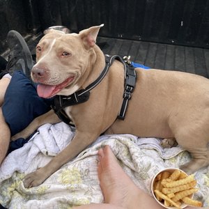 FUN BARN - Updated July 2025 - 16 Photos & 15 Reviews - 14333 U.S. Rte ...