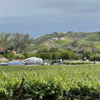 LEONESS CELLARS - Updated April 2024 - 2645 Photos & 2041 Reviews ...