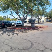 POWAY COMMUNITY SWIM CENTER - 10 Photos - 13094 Civic Center Dr, Poway ...