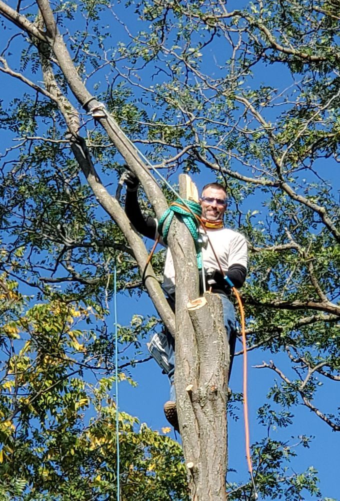 THAT TREE GUY - Updated December 2025 - 11 Photos - Mattoon, Illinois ...