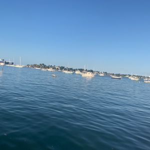 WATSON ISLAND PARK - 29 Photos & 11 Reviews - 1050 Macarthur Cswy ...