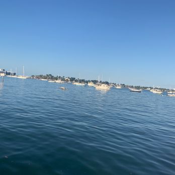 WATSON ISLAND PARK - Updated October 2025 - 29 Photos & 11 Reviews ...