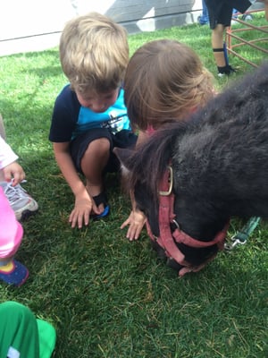 SANDY LIBRARY - Updated December 2025 - 36 Photos & 12 Reviews - 10100 ...