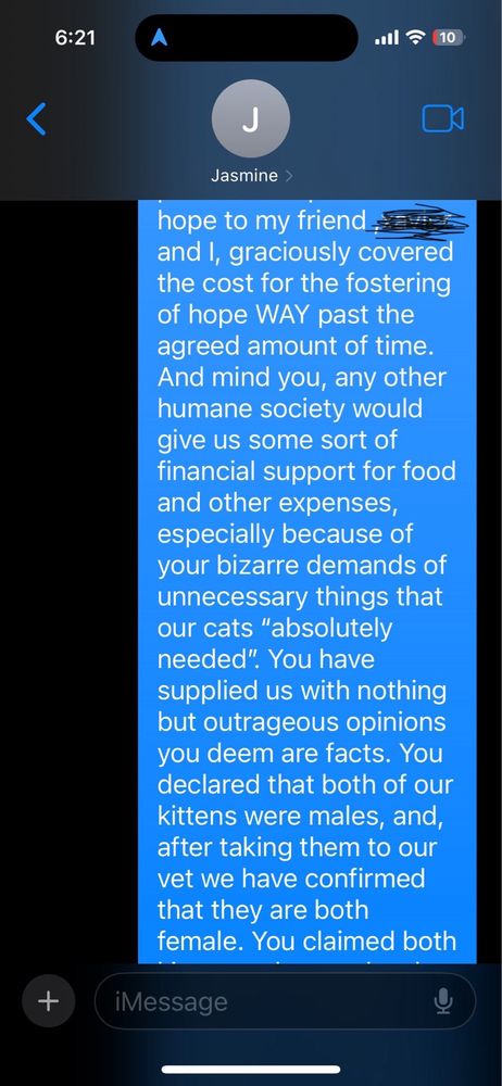 HI KITTY KITTY - Updated January 2026 - 49 Photos & 108 Reviews ...