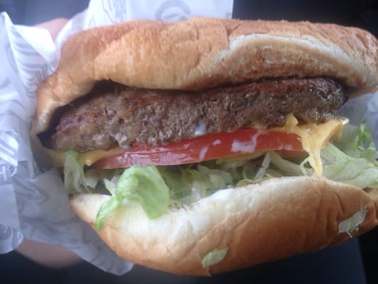 PALS - Updated January 2026 - 3012 N John B Dennis Hwy, Kingsport ...