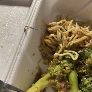 OCEAN CITY CHINESE RESTAURANT - Updated June 2025 - 23 Photos & 64 ...