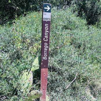 WHITING RANCH WILDERNESS PARK - Updated January 2025 - 891 Photos ...