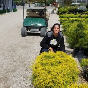 BRIGHTVIEW LANDSCAPE SERVICES - Updated December 2024 - 70 Moffitt Blvd ...