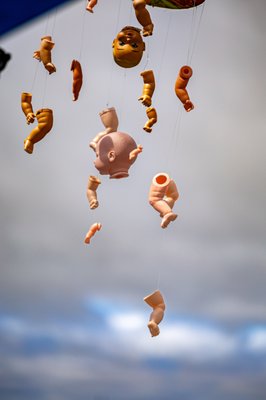 ALBANY BULB - Updated August 2025 - 1000 Photos & 248 Reviews - 1 ...