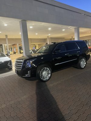 DUTTON MOTOR COMPANY - Updated January 2026 - 92 Photos & 453 Reviews ...