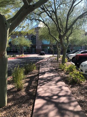 LIFE TIME - 133 Photos & 238 Reviews - 381 E Warner Rd, Gilbert ...