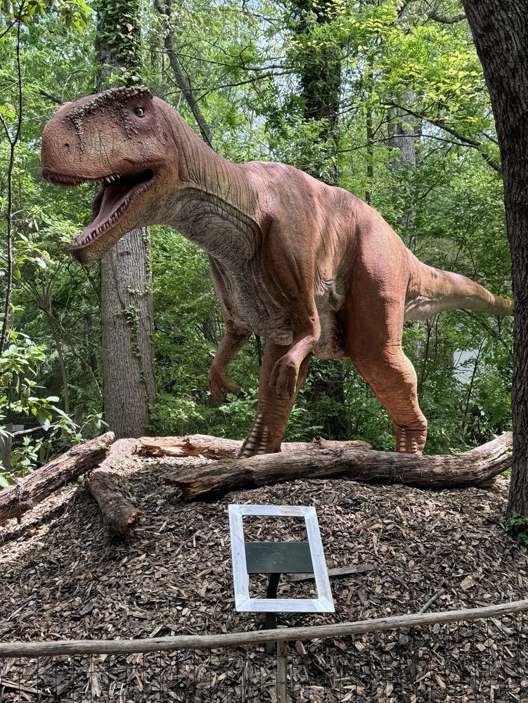 ZOO KNOXVILLE - Updated October 2025 - 459 Photos & 163 Reviews - 3500 ...