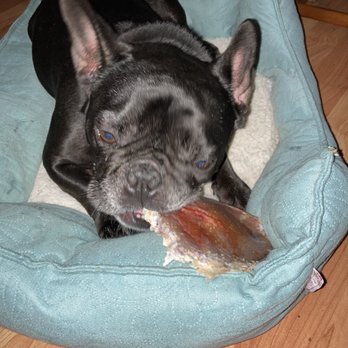 WESTERN FARM CENTER - Updated December 2025 - 115 Photos & 265 Reviews ...