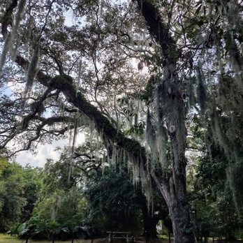 THE BARNACLE HISTORIC STATE PARK - Updated December 2024 - 421 Photos & 73 Reviews - 3485 Main ...