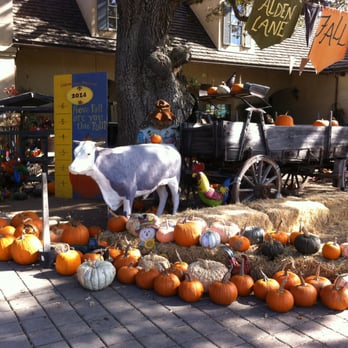 ALDEN LANE NURSERY - Updated April 2025 - 416 Photos & 227 Reviews ...