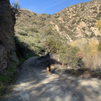 TRAIL CANYON FALLS - Updated November 2024 - 511 Photos & 113 Reviews ...