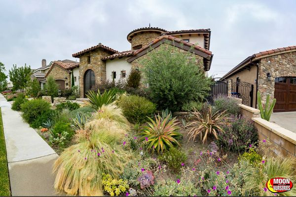 MOON VALLEY NURSERIES - Updated October 2025 - 500 Photos & 652 Reviews - 18047 N Tatum Blvd ...