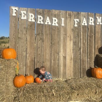 FERRARI FARMS - Updated May 2025 - 175 Photos & 68 Reviews - 4701 Mill ...