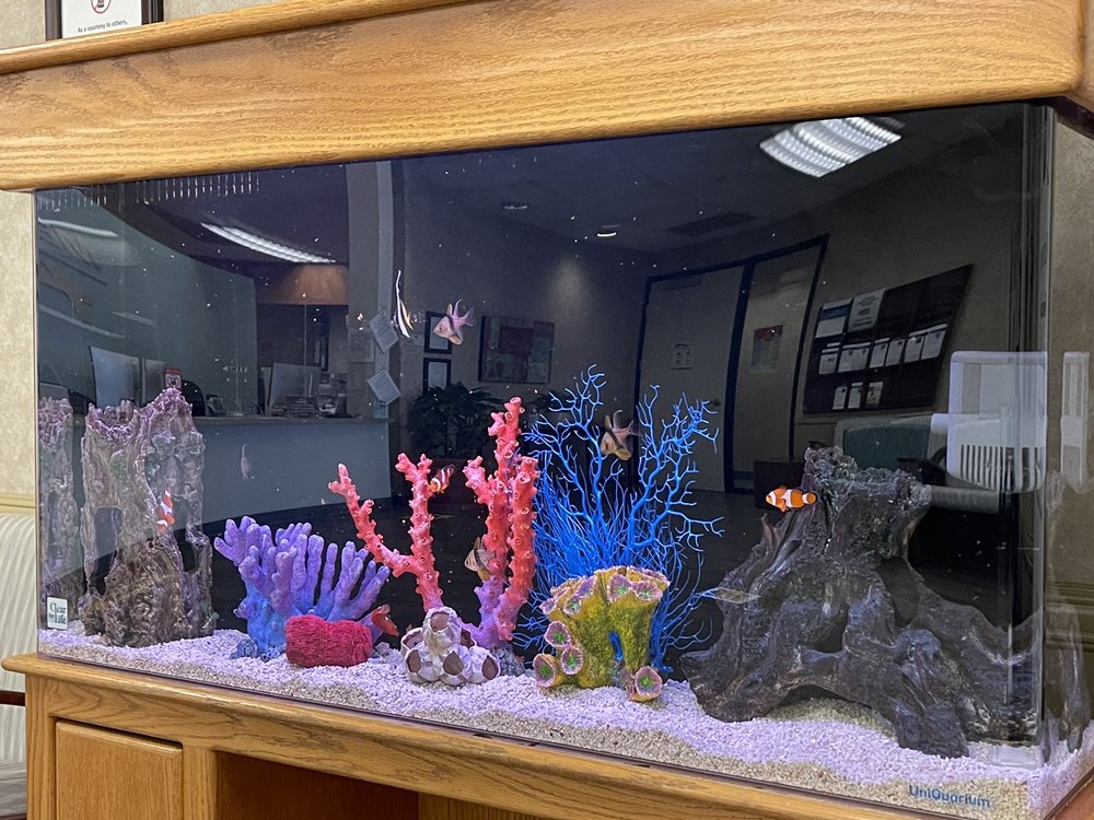 PROVIDENCE PRIMARY CARE - MADRONA - Updated October 2025 - 18 Photos ...