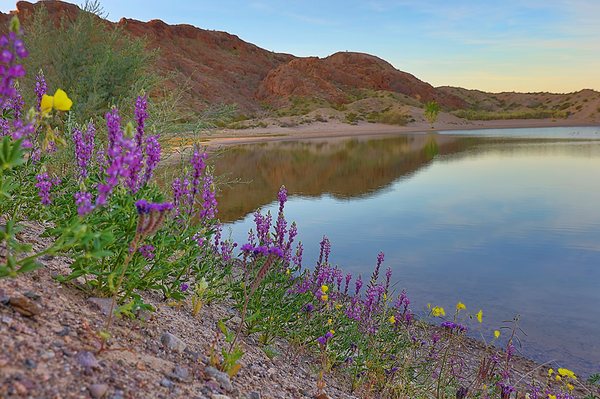 KATHERINE LANDING LAKE MOHAVE RESORT - Bullhead City, AZ - 252 Photos ...