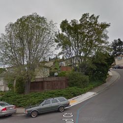 CASTILLO TREE SERVICE - 117 Photos & 120 Reviews - 25798 Franklin Ave ...