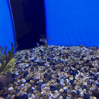 ABQ BIOPARK BOTANIC GARDEN - Updated September 2024 - 887 Photos & 161 ...