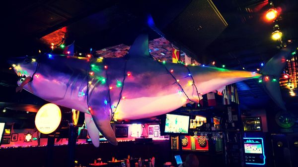 SEAGRAPE CAFE - Updated December 2025 - 16 Photos & 35 Reviews - 1144 ...