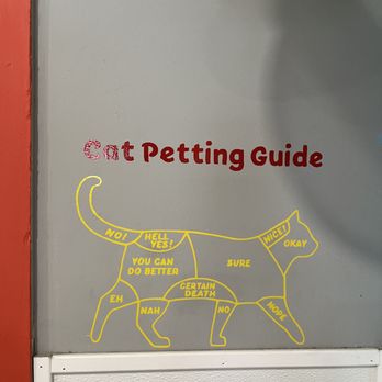 THE CAFFEINATED CAT - Updated September 2025 - 161 Photos & 68 Reviews ...