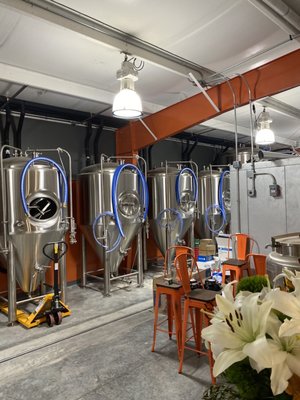 GALLANT FOX BREWING - Updated September 2024 - 118 Photos & 26 Reviews ...