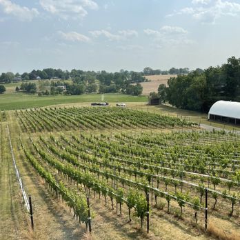 GRANDVIEW VINEYARD - Updated July 2024 - 116 Photos & 57 Reviews - 1489 ...