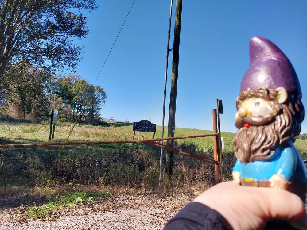 PANTHER SWAMP NATIONAL WILDLIFE REFUGE - Updated December 2024 - 41 ...