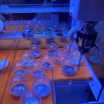 KIDDLETON - Updated December 2025 - 128 Photos & 51 Reviews - 335 E 2nd ...